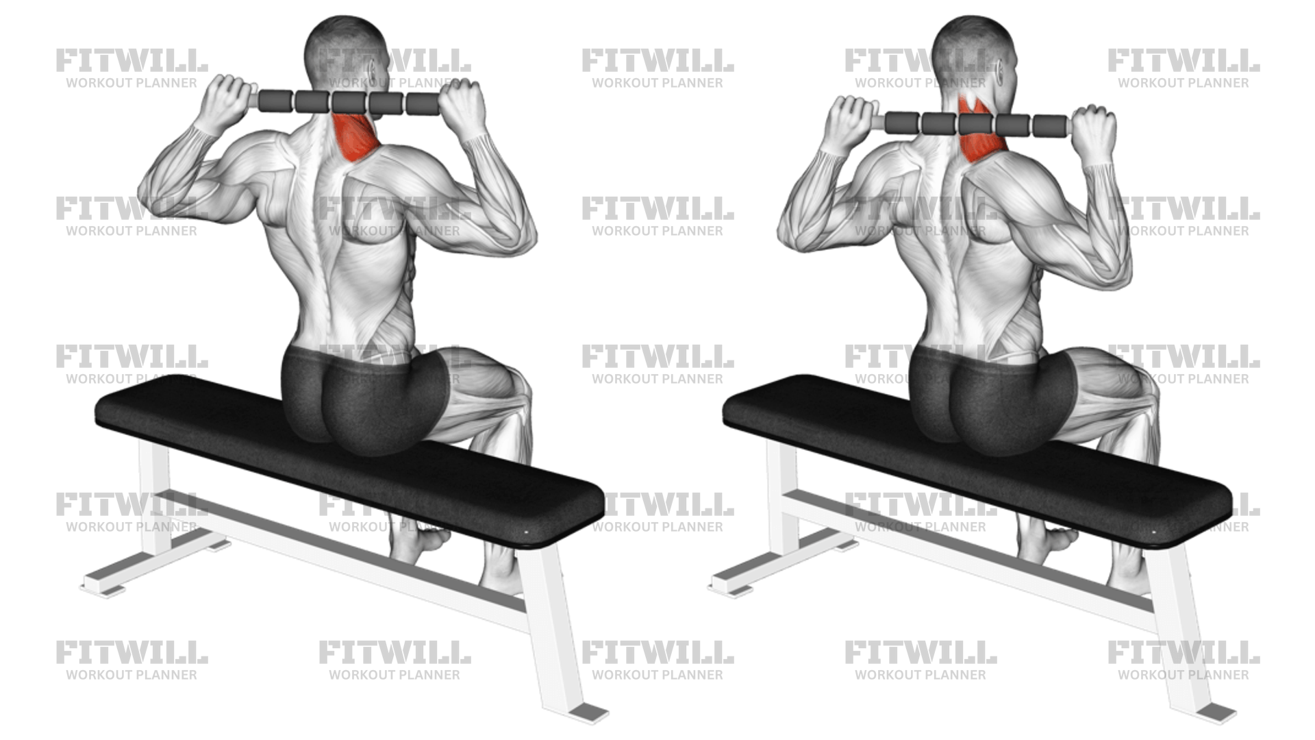 Tiger Tail Neck: Exercise Guide, Techniques, Benefits, How to, Muscles ...