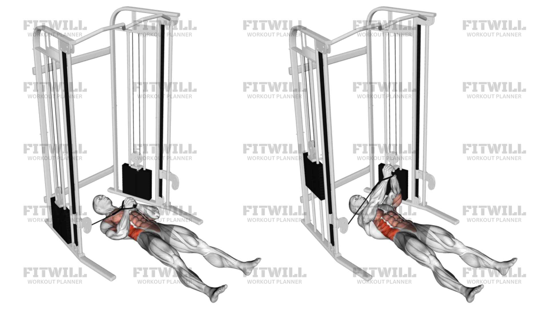 Cable Lying Pallof Press: Exercise Guide, Techniques, Benefits, How to ...