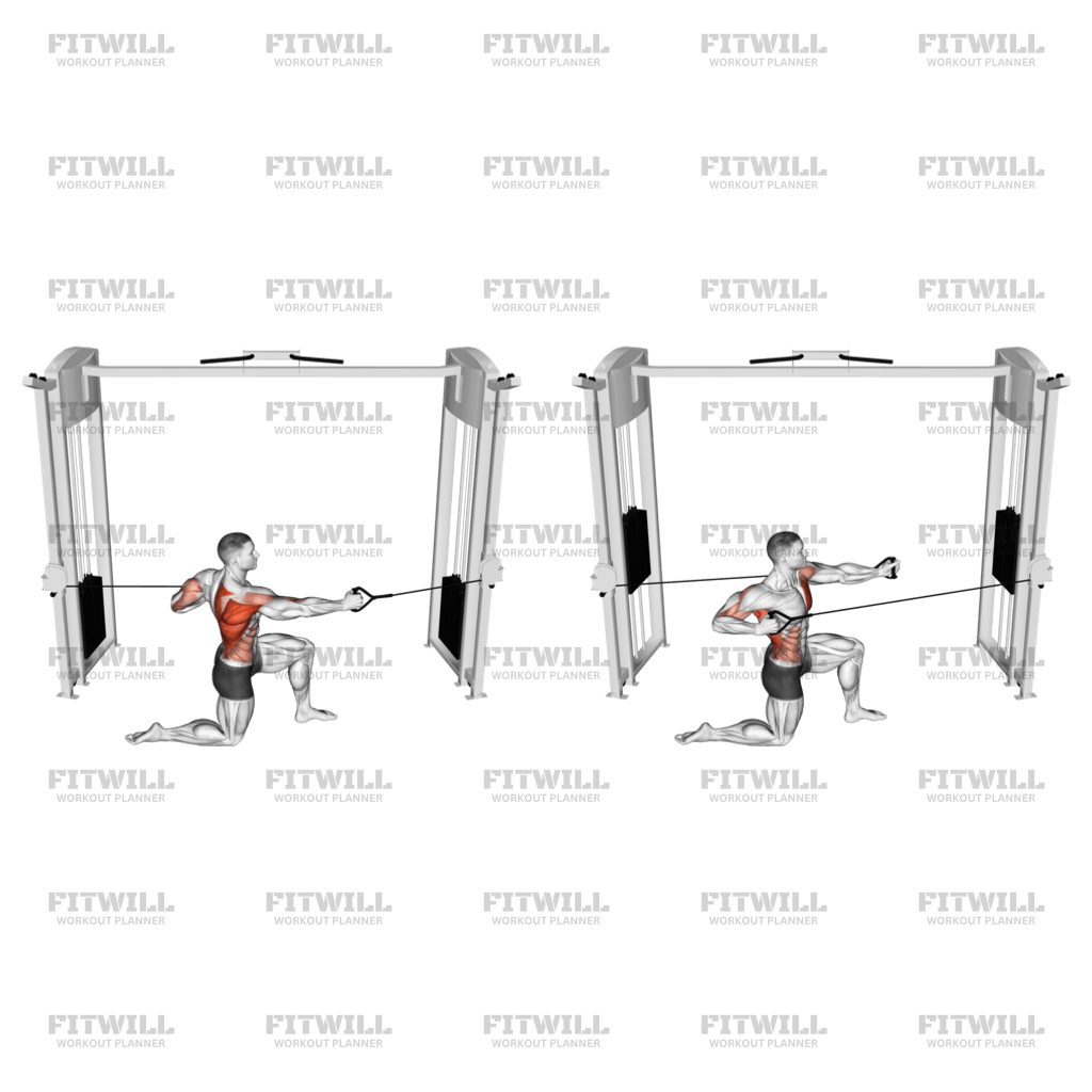 Cable Half Kneeling Push Pull: Exercise Guide, Techniques, Benefits, How to, Muscles Worked ...