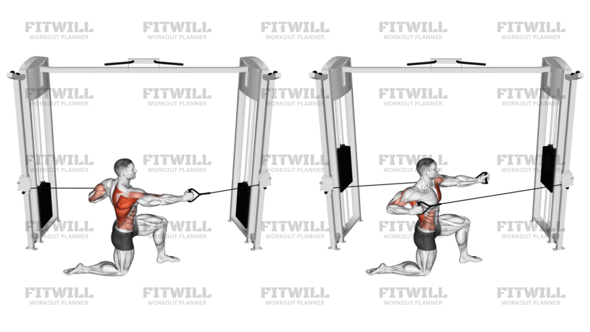 Cable Half Kneeling Push Pull: Exercise Guide, Techniques, Benefits ...