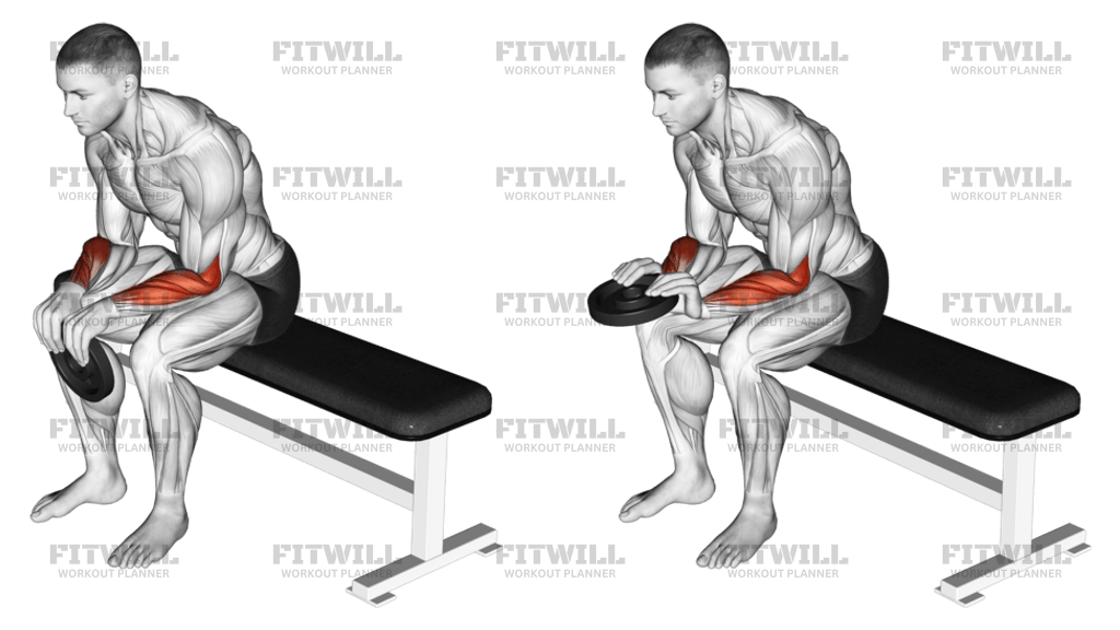Weighted Seated Reverse Wrist Curl: Exercise Guide, Techniques ...