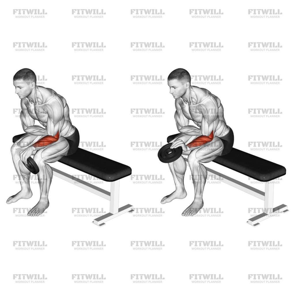Weighted Seated One Arm Reverse Wrist Curl: Exercise Guide, Techniques ...