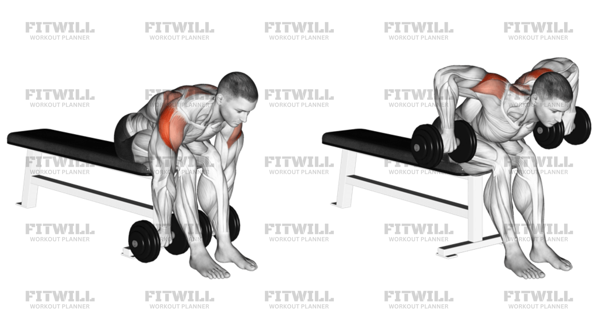 Dumbbell Seated Bent Over Rear Delt Row: Exercise Guide, Techniques ...