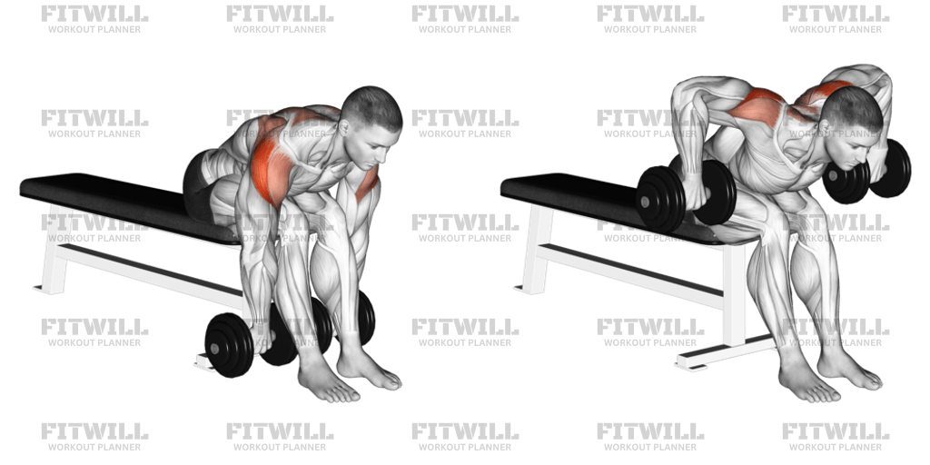 Dumbbell Seated Bent Over Rear Delt Row: Exercise Guide, Techniques ...