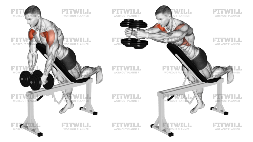 Dumbbell Incline Two Front Raise With Chest Support: Exercise Guide ...