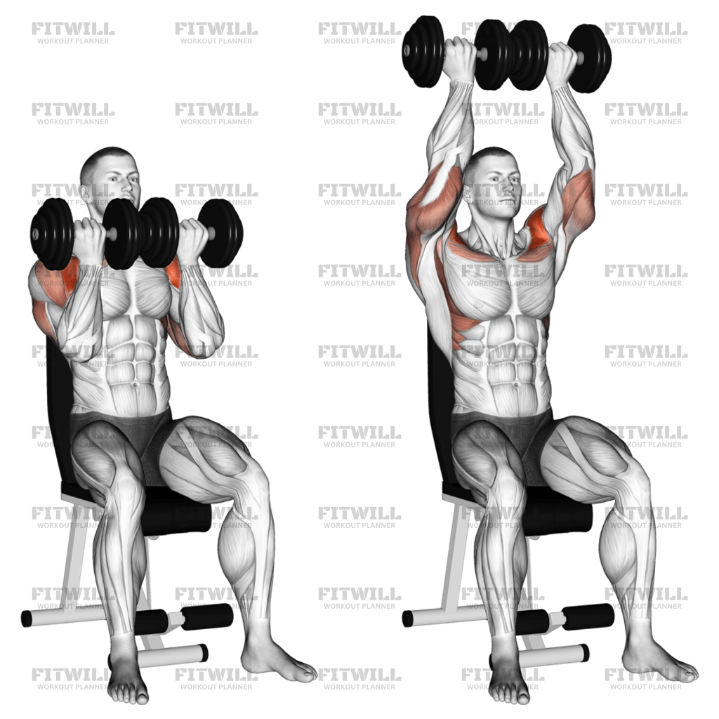 Dumbbell Seated Close Grip Press: Exercise Guide, Video, Techniques ...