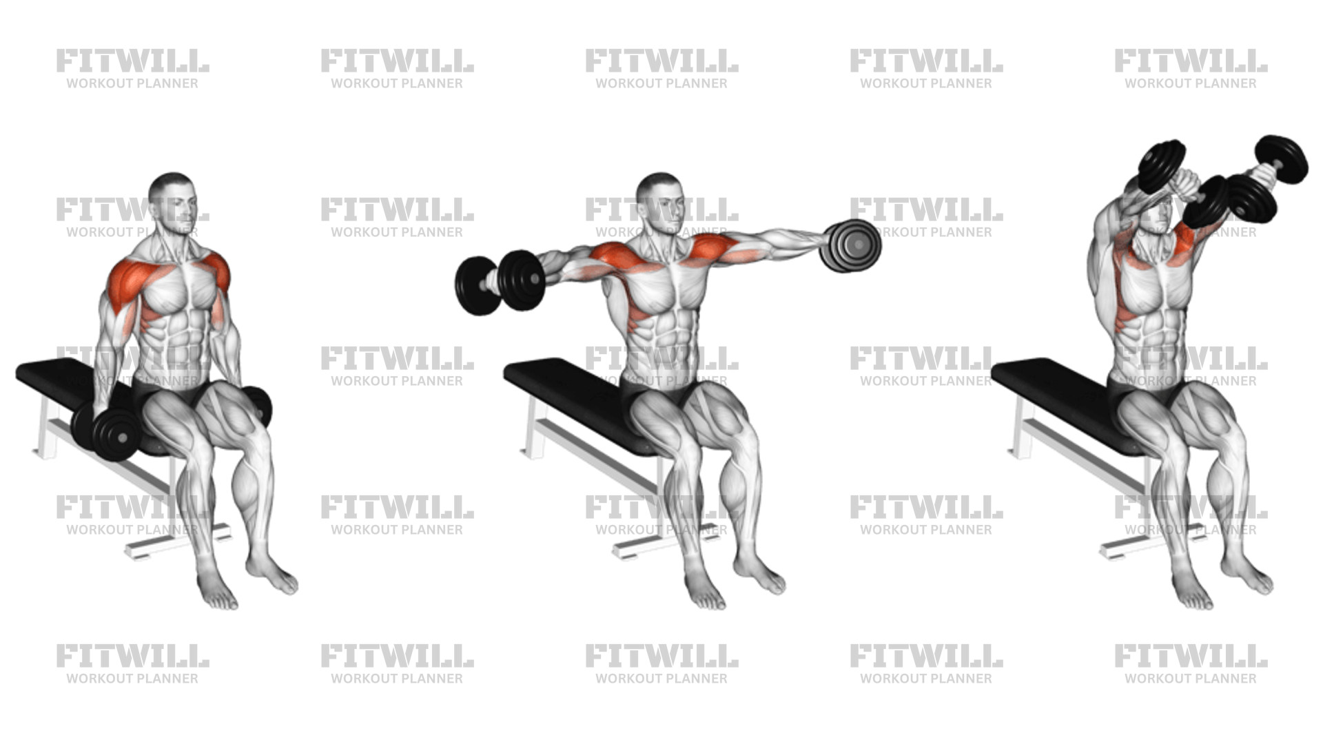 Elevaciones Laterales Y Frontales Sentado Con Mancuernas: Guía de ...