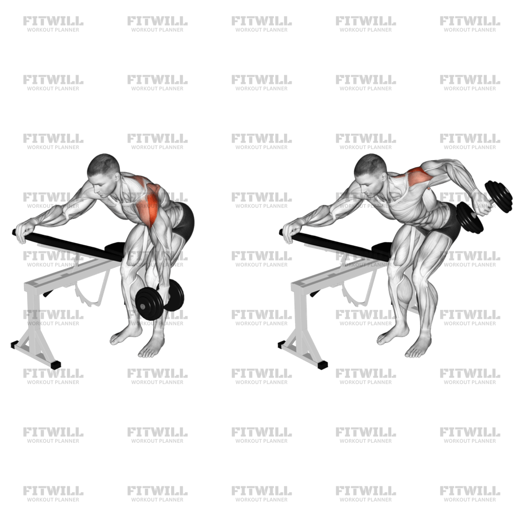 Crucifixo Invertido Unilateral Com Haltere (com Apoio) (VERSÃO 2): Guia ...