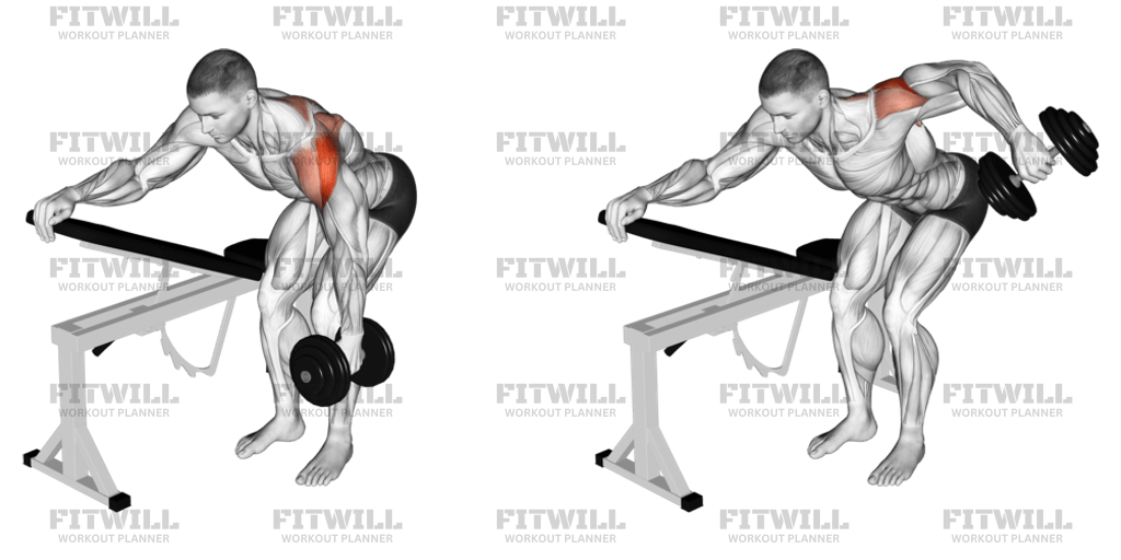 Dumbbell One Arm Reverse Fly (with support) (VERSION 2): Guide ...