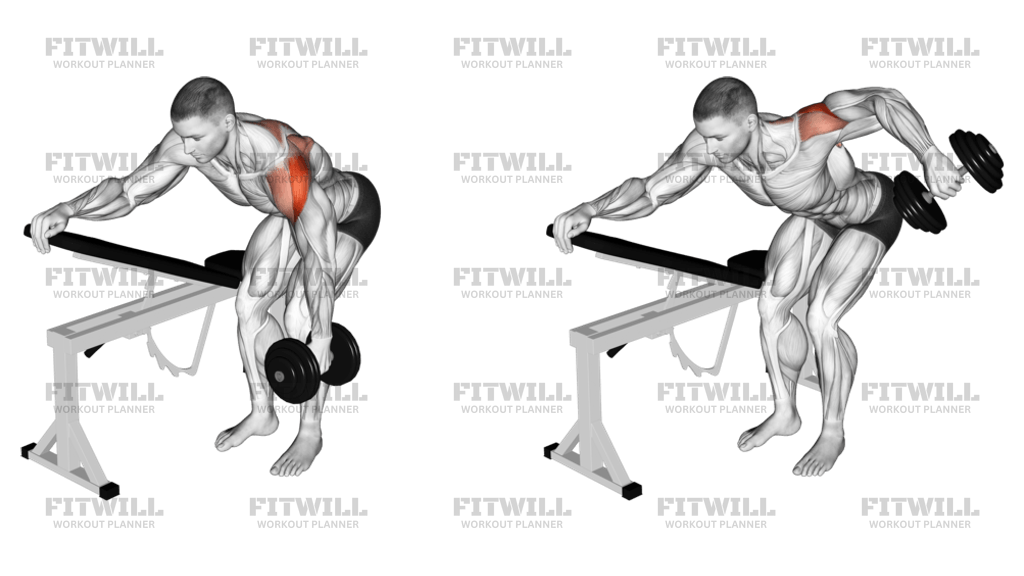 Dumbbell One Arm Reverse Fly (with support) (VERSION 2): Guide ...
