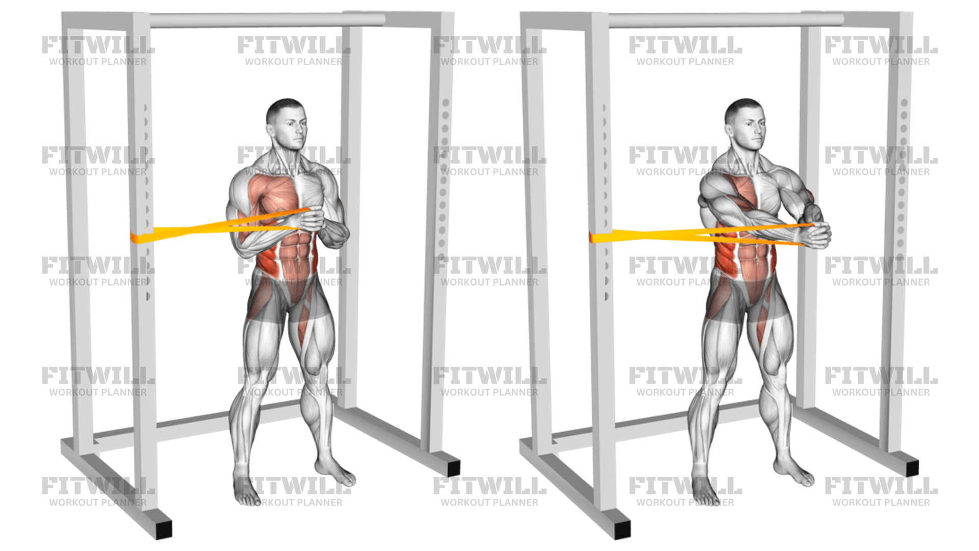 Resistance Band Horizontal Pallof Press: Exercise Guide, Video ...