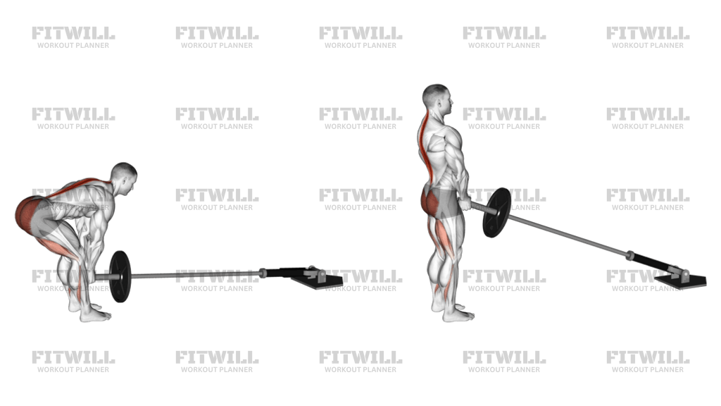 Landmine Romanian Deadlift (VERSION 2): Exercise Guide, Video ... Landmine Romanian Deadlift (VERSION 2): Exercise Guide, Video ...