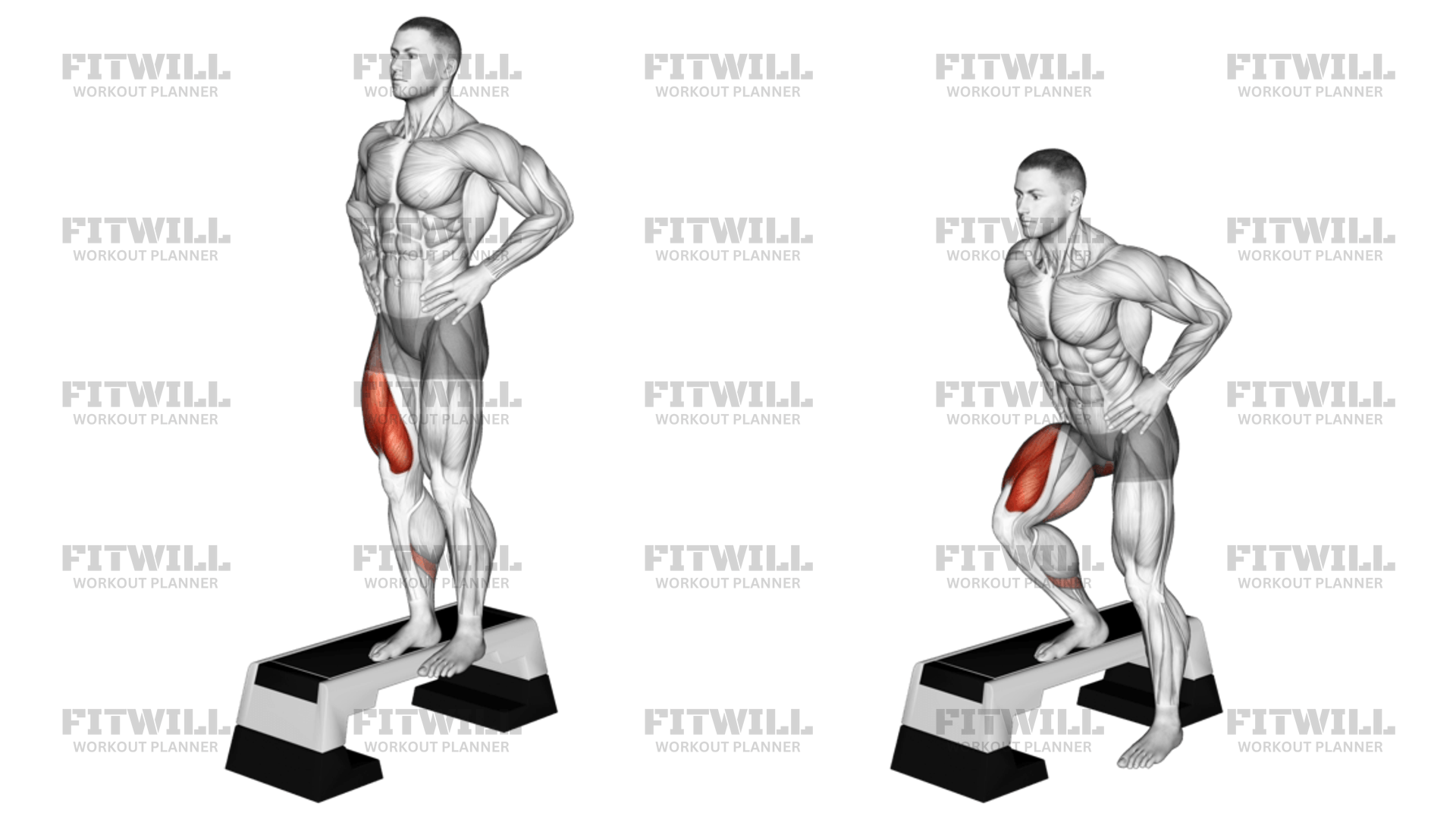 Stepdown Squat: Exercise Guide, Techniques, Benefits, How to, Muscles ...