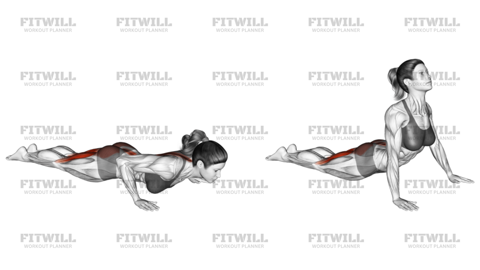 Cobra Yoga Pose: Exercise Guide, Video, Techniques, Benefits, How to ...