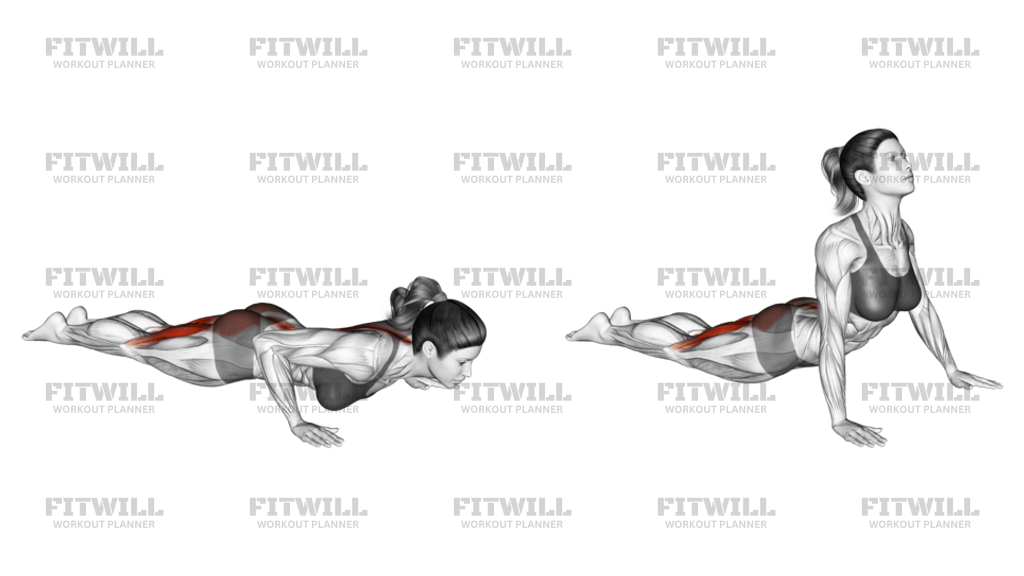 How to do Cobra Yoga Pose: Techniques, Benefits, Tips & Tricks | Fitwill