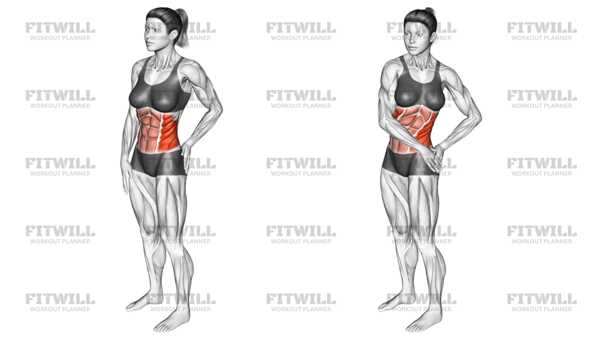 Standing Abs Rotation Stretch: Exercise Guide, Video, Techniques ...