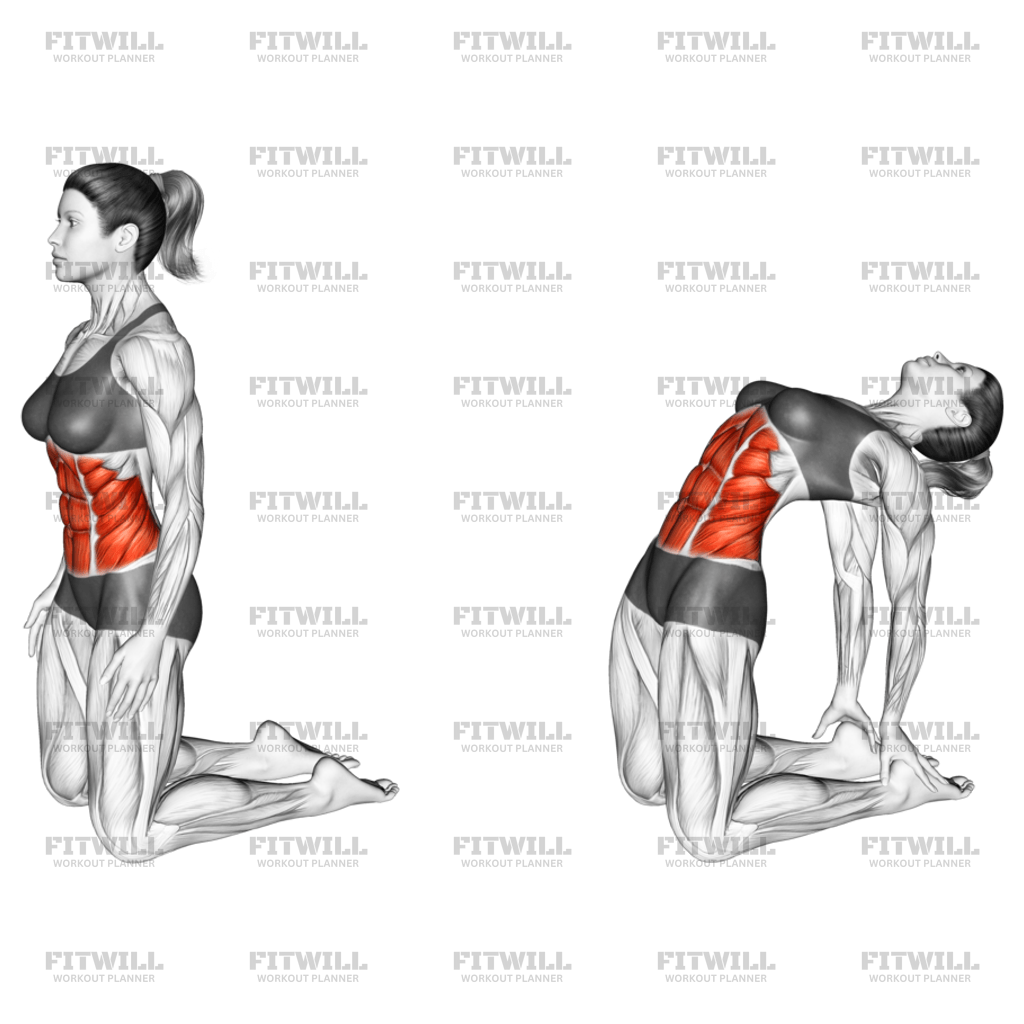 Backward Abdominal Stretch: Exercise Guide, Video, Techniques, Benefits ...