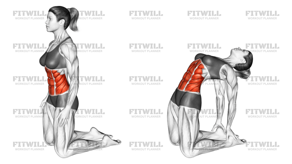 Backward Abdominal Stretch: Exercise Guide, Video, Techniques, Benefits, How to, Muscles Worked ...