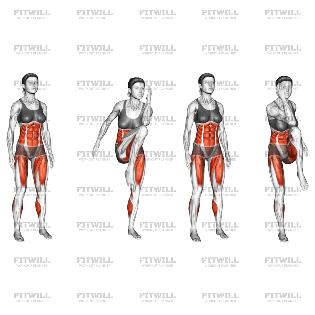 Standing Air Bike: Exercise Guide, Video, Techniques, Benefits, How to ...