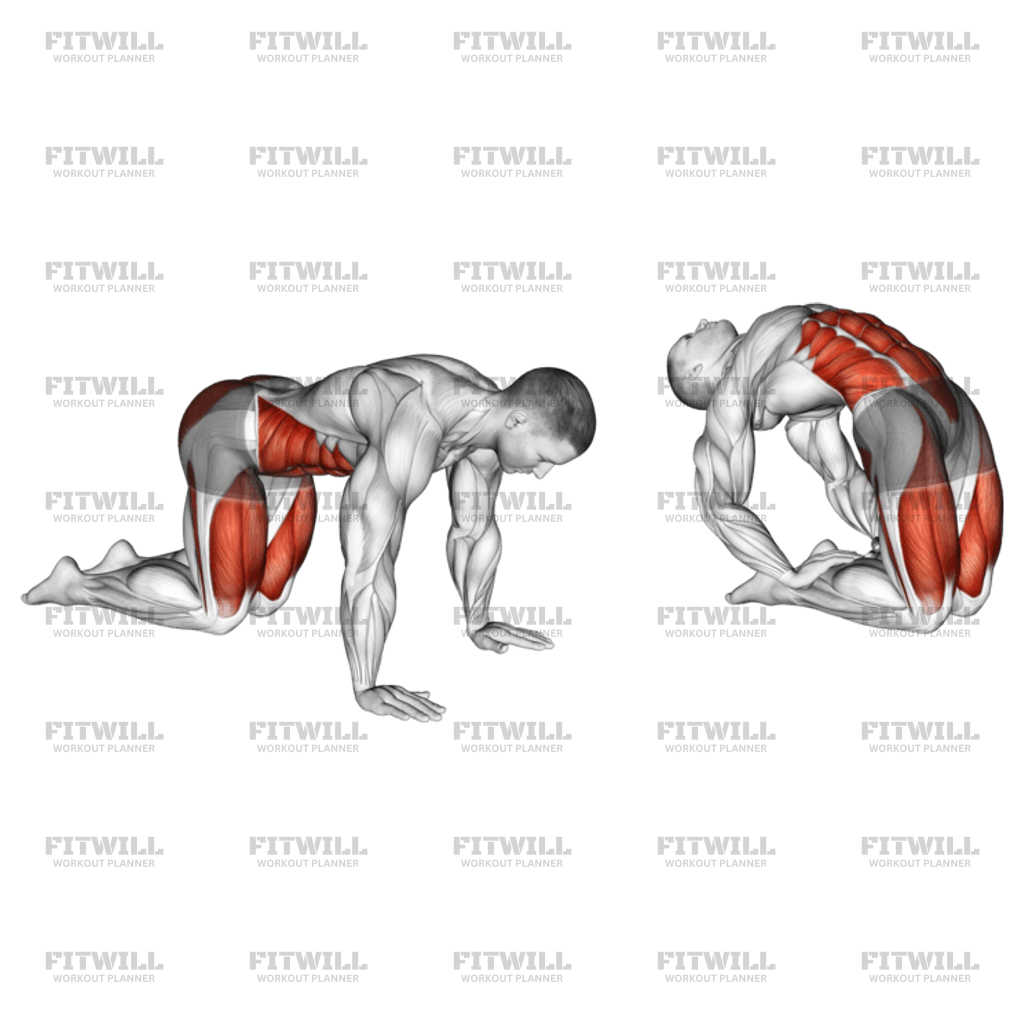 Ceiling Look Stretch: Exercise Guide, Video, Techniques, Benefits, How ...