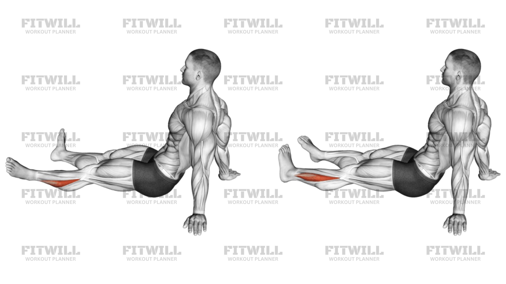 Feet And Ankles Rotation Stretch: Exercise Guide, Video, Techniques ...