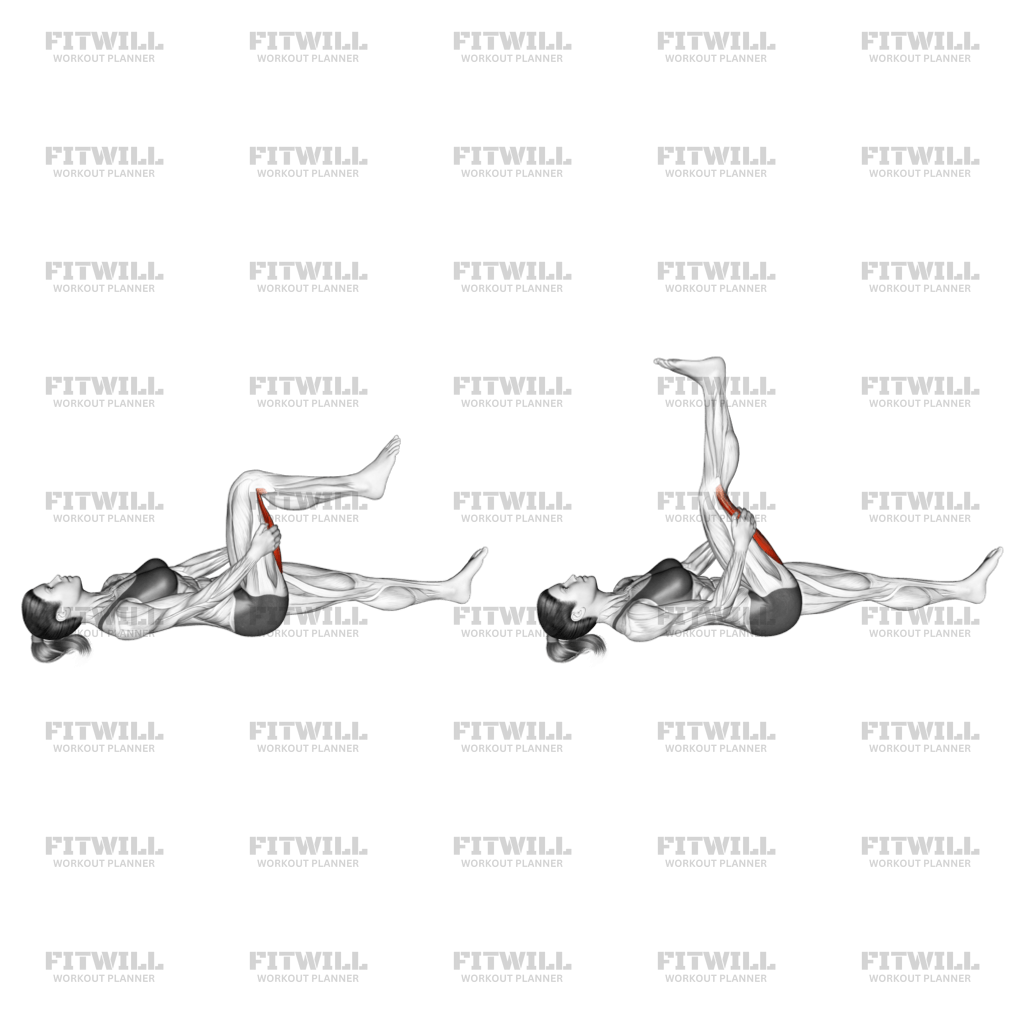 Alongamento Dos Isquiotibiais: Guia de Exercícios, Vídeo, Técnicas ...