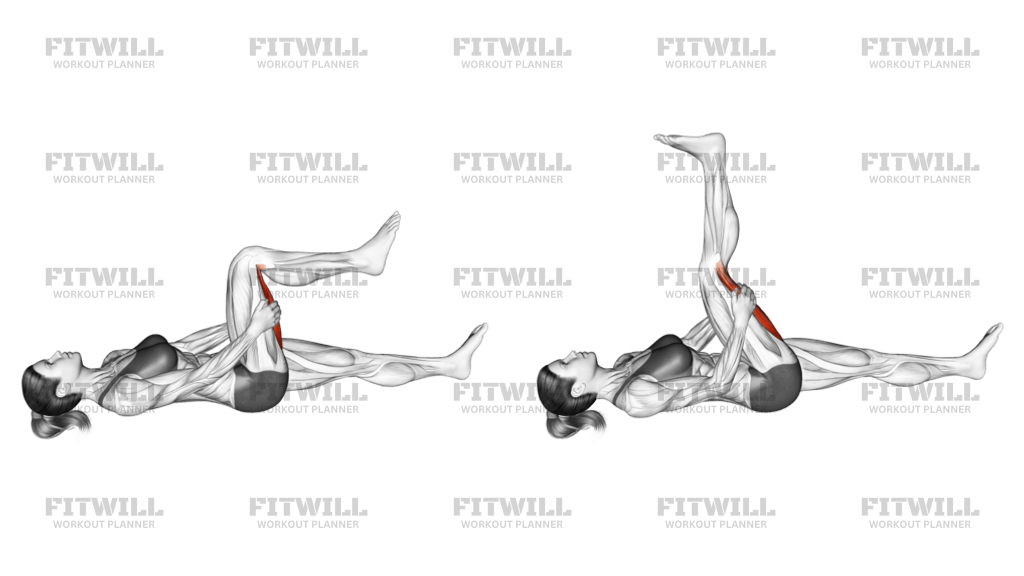 Estiramiento De Isquiotibiales: Guía de Ejercicios, Video, Técnicas ...
