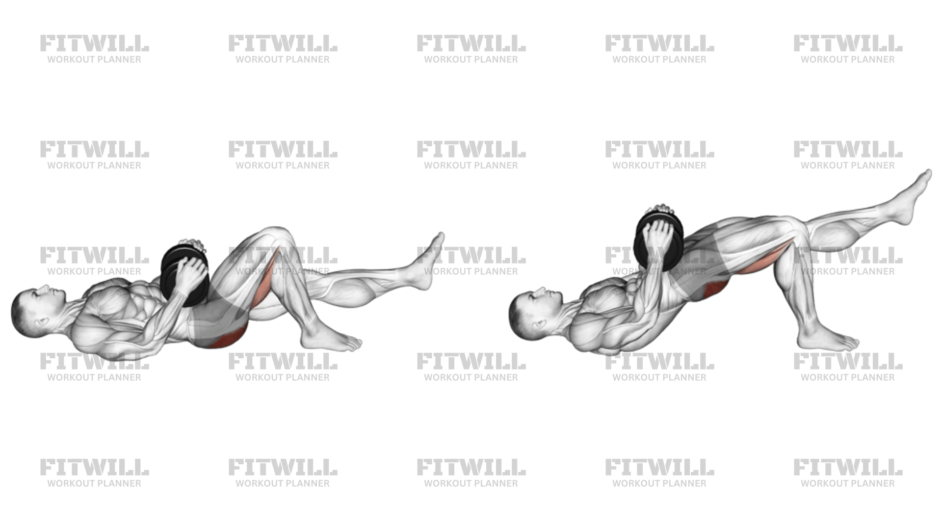 Dumbbell Single Leg Glute Bridge: Exercise Guide, Video, Techniques ...