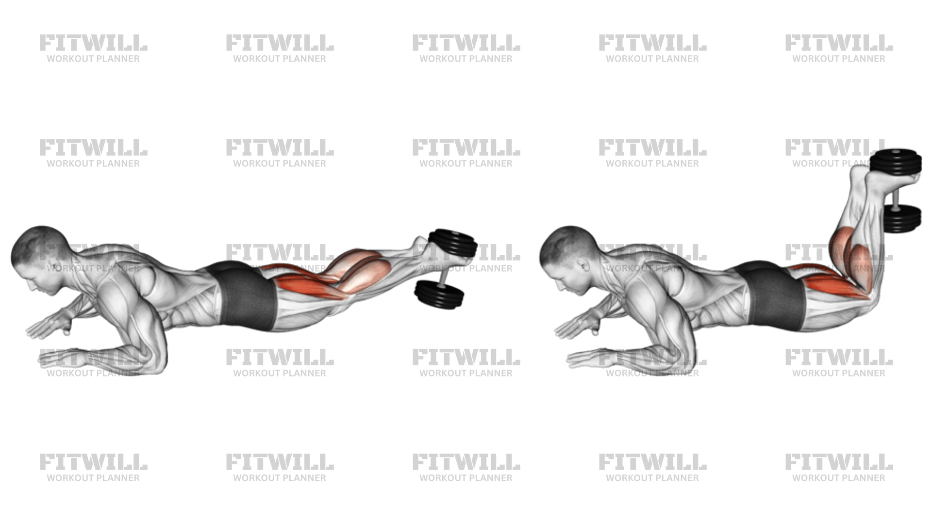 Dumbbell Lying Hamstring Curl: Exercise Guide, Video, Techniques ...