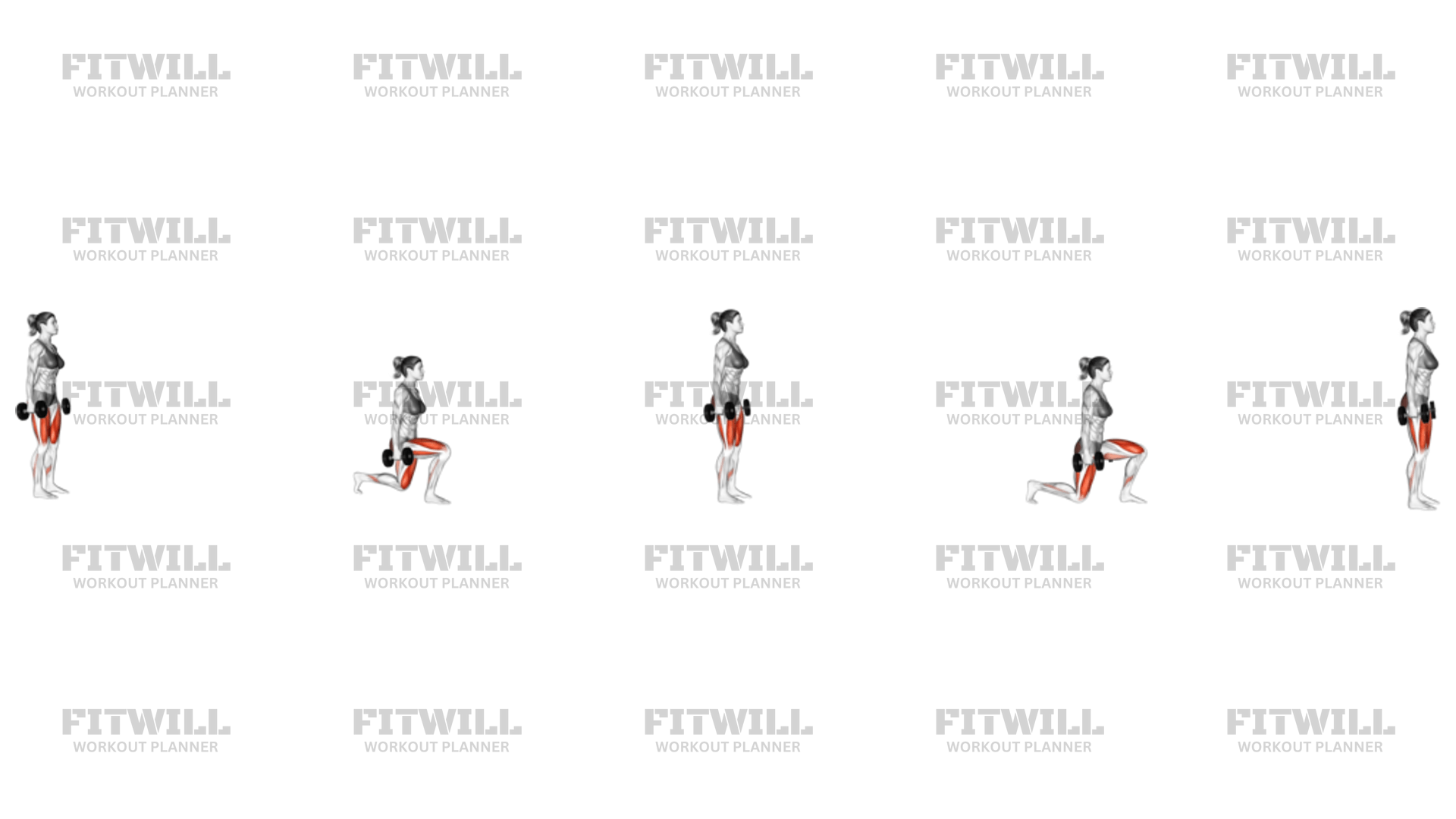 Dumbbell Walking Lunge: Exercise Video | Fitwill