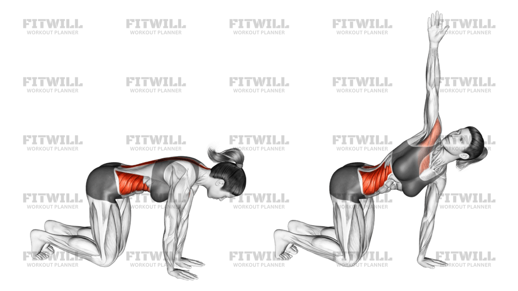 How to do Kneeling Back Rotation Stretch: Techniques, Benefits, Tips ...