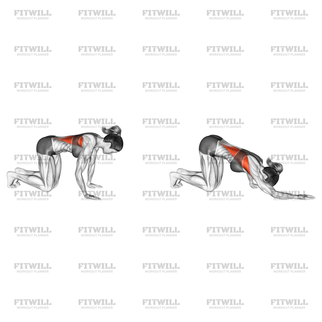 How to do Kneeling Lat Stretch: Techniques, Benefits, Tips & Tricks ...