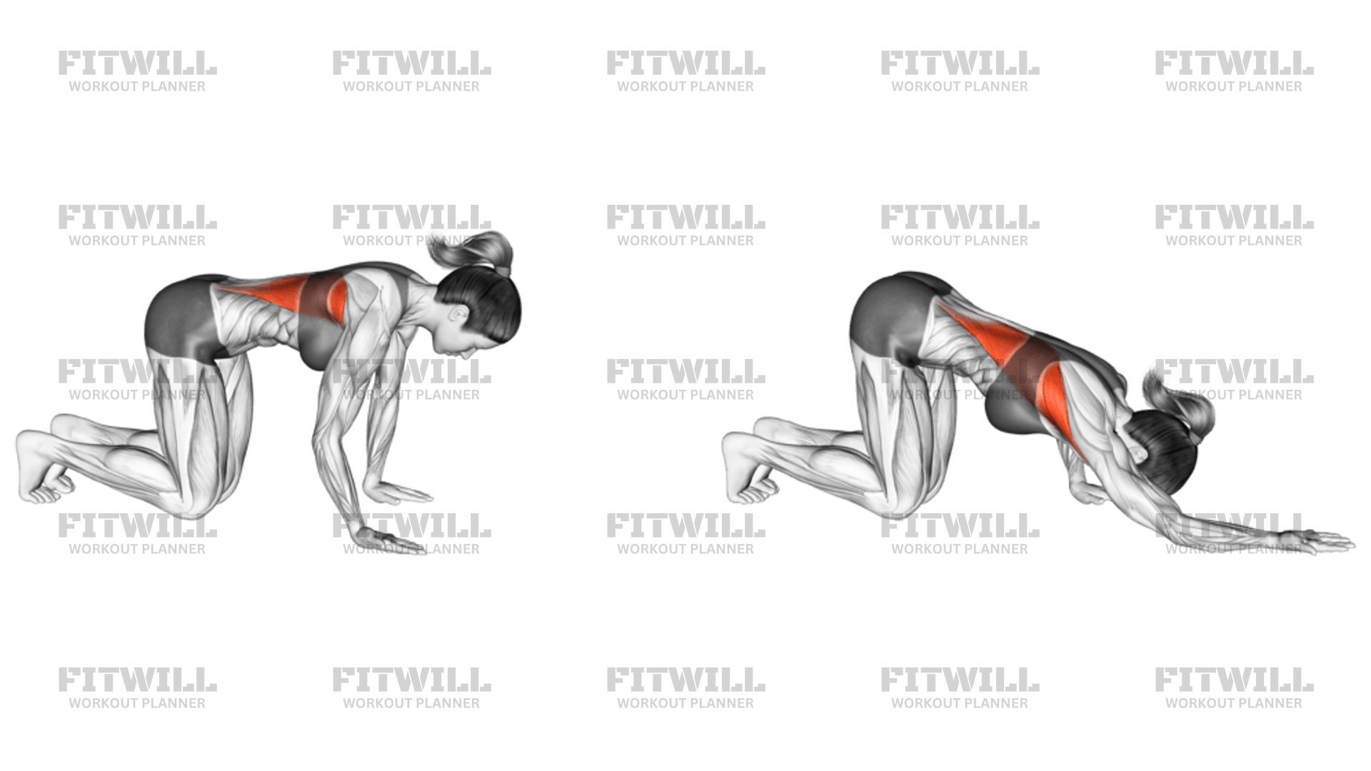 Kneeling Lat Stretch: Exercise Guide, Video, Techniques, Benefits, How ...