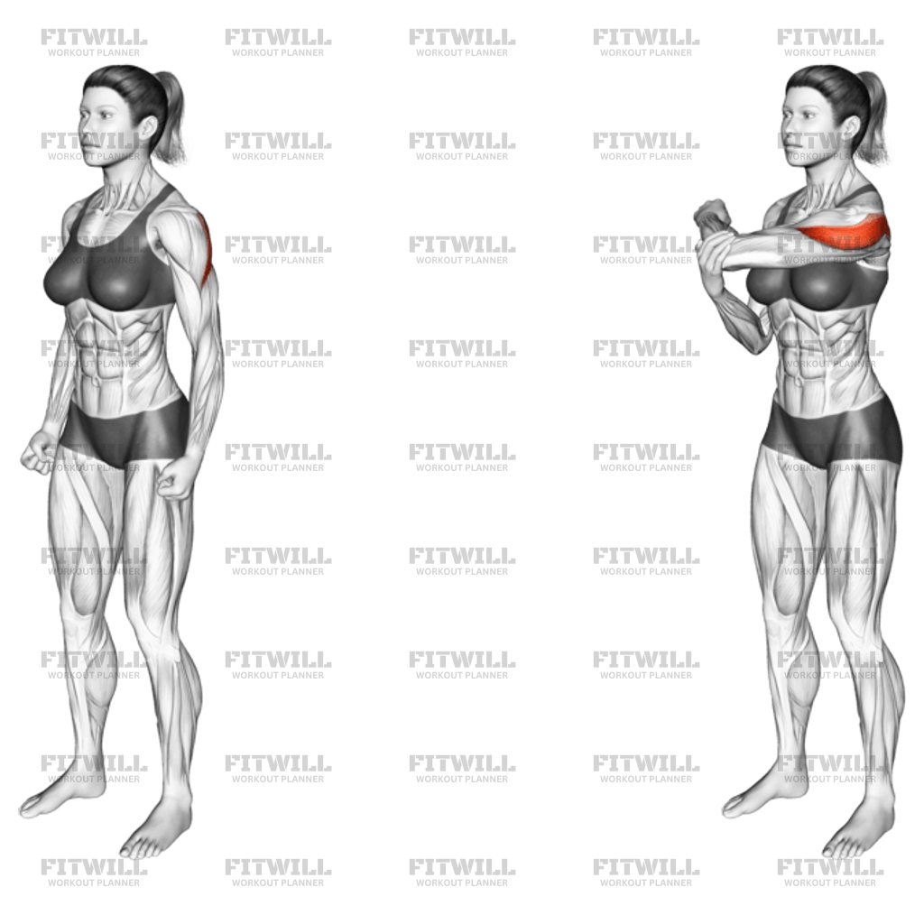 Rear Deltoid Stretch: Exercise Guide, Video, Techniques, Benefits, How ...