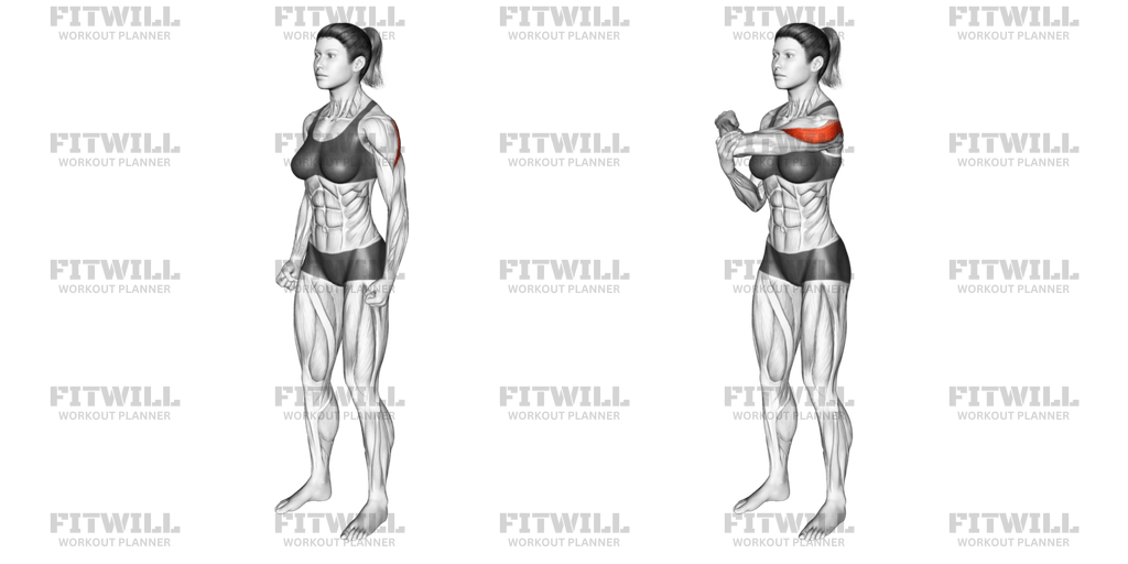 Rear Deltoid Stretch: Guide, Techniques, Benefits, How to, Muscles ...