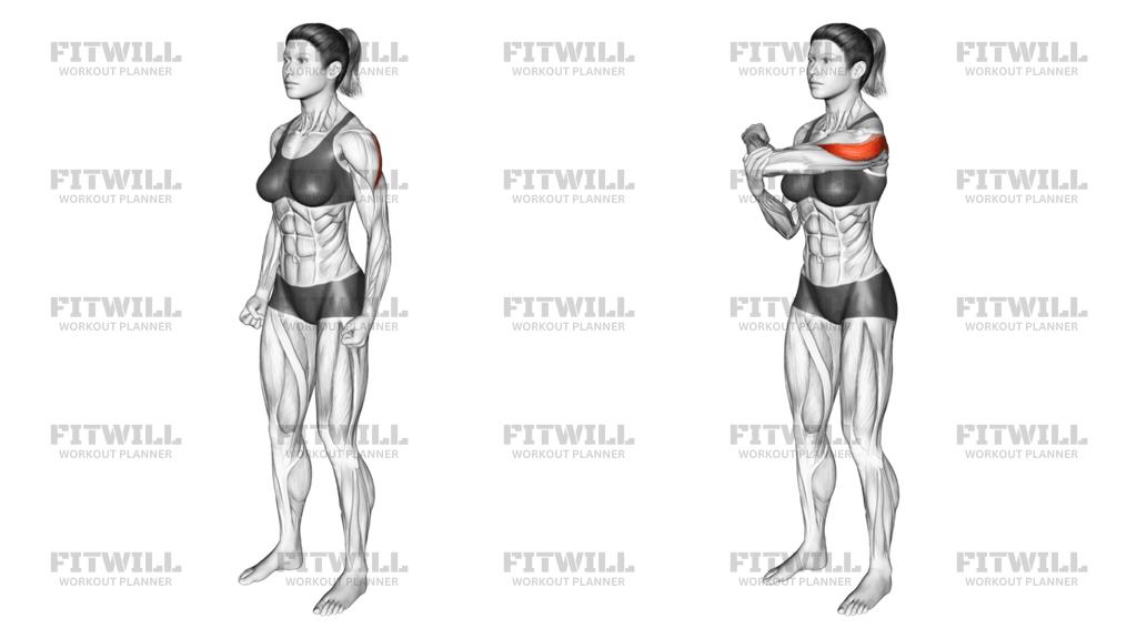 How to do Rear Deltoid Stretch: Techniques, Benefits, Tips & Tricks ...