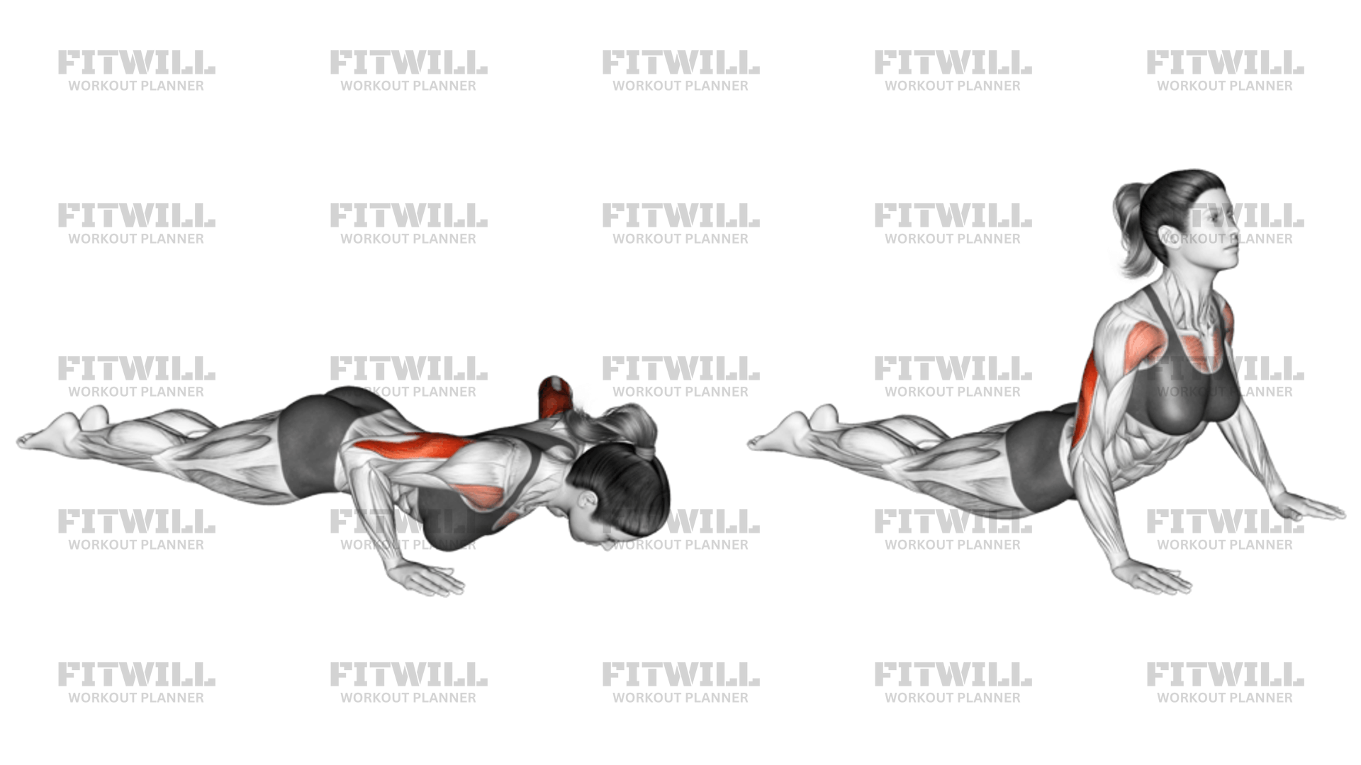 Reverse Dip: Exercise Guide, Video, Techniques, Benefits, How to ...