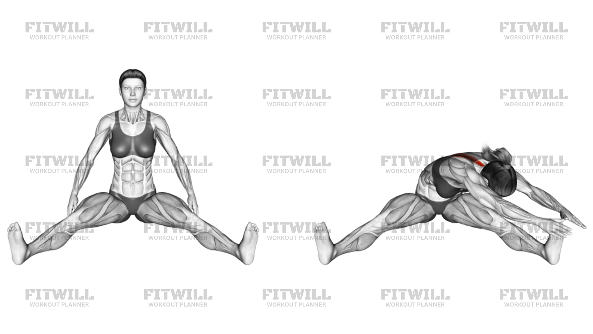 Seated Wide Angle Pose Sequence: Exercise Guide, Video, Techniques ...