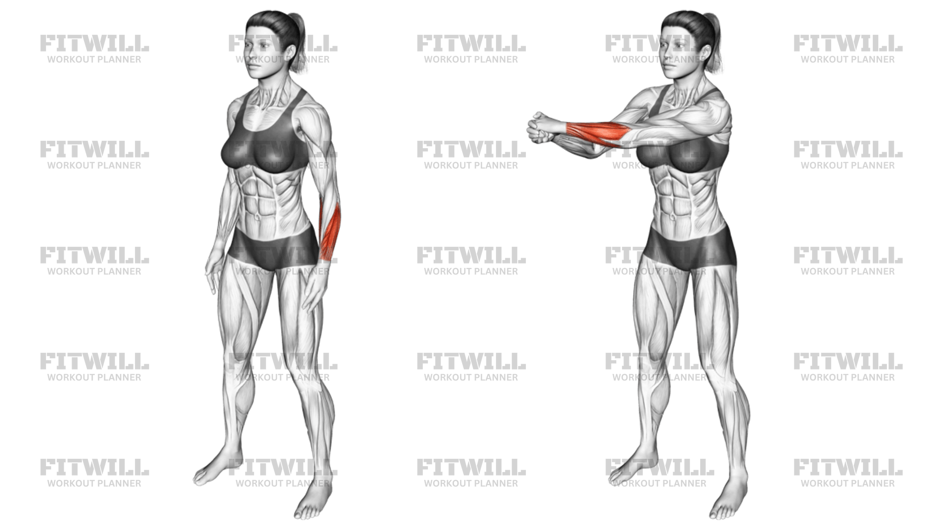 Side Wrist Pull Stretch: Exercise Guide, Video, Techniques, Benefits ...