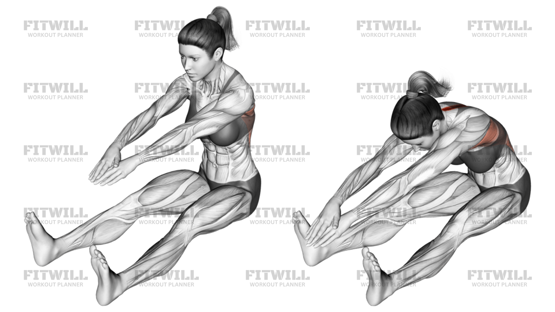 Sitting Bent Over Back Stretch: Guide, Techniques, Benefits, How to ...