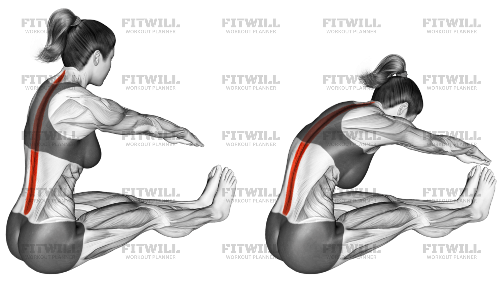 Spine Stretch: Exercise Guide, Video, Techniques, Benefits, How to ...