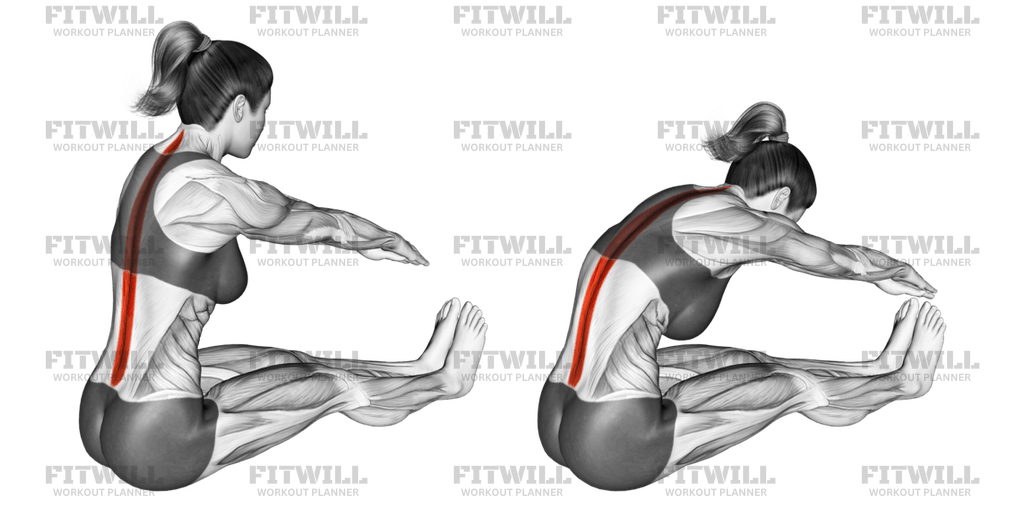 Spine Stretch: Exercise Guide, Video, Techniques, Benefits, How to ...