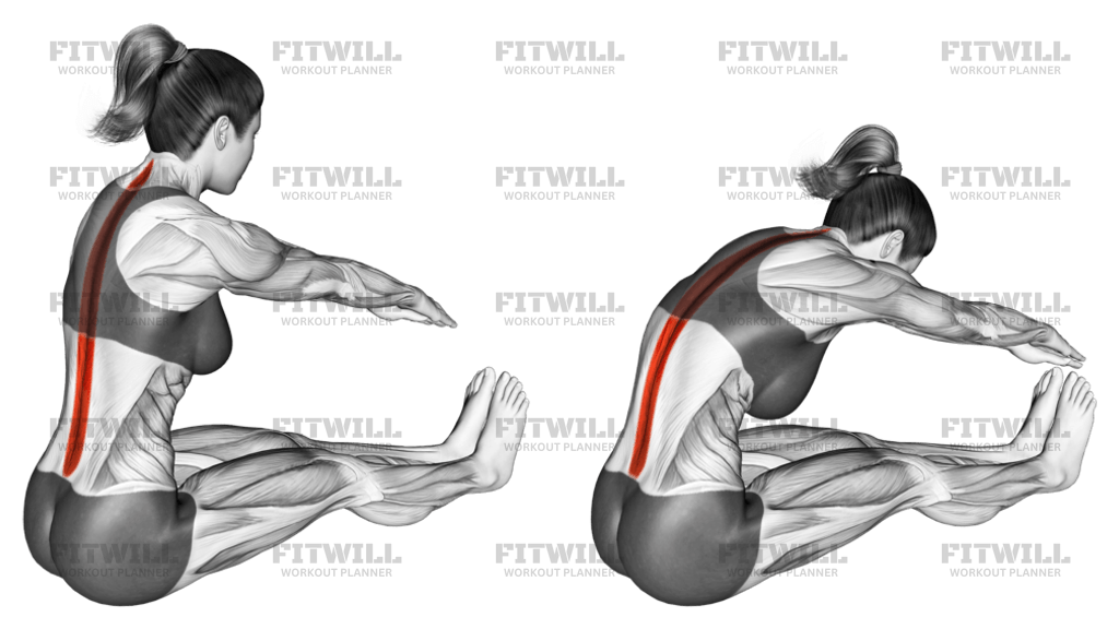 Spine Stretch: Exercise Guide, Video, Techniques, Benefits, How to ...