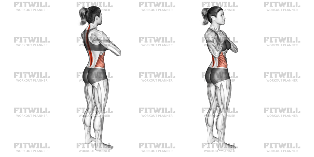 Standing Back Rotation Stretch: Exercise Guide, Video, Techniques ...