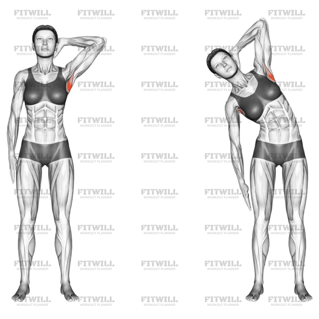 Standing Lateral Stretch: Exercise Guide, Video, Techniques, Benefits, How to, Muscles Worked ...