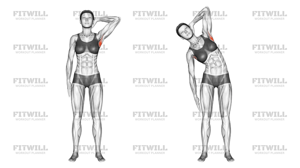 Standing Lateral Stretch: Exercise Guide, Video, Techniques, Benefits ...
