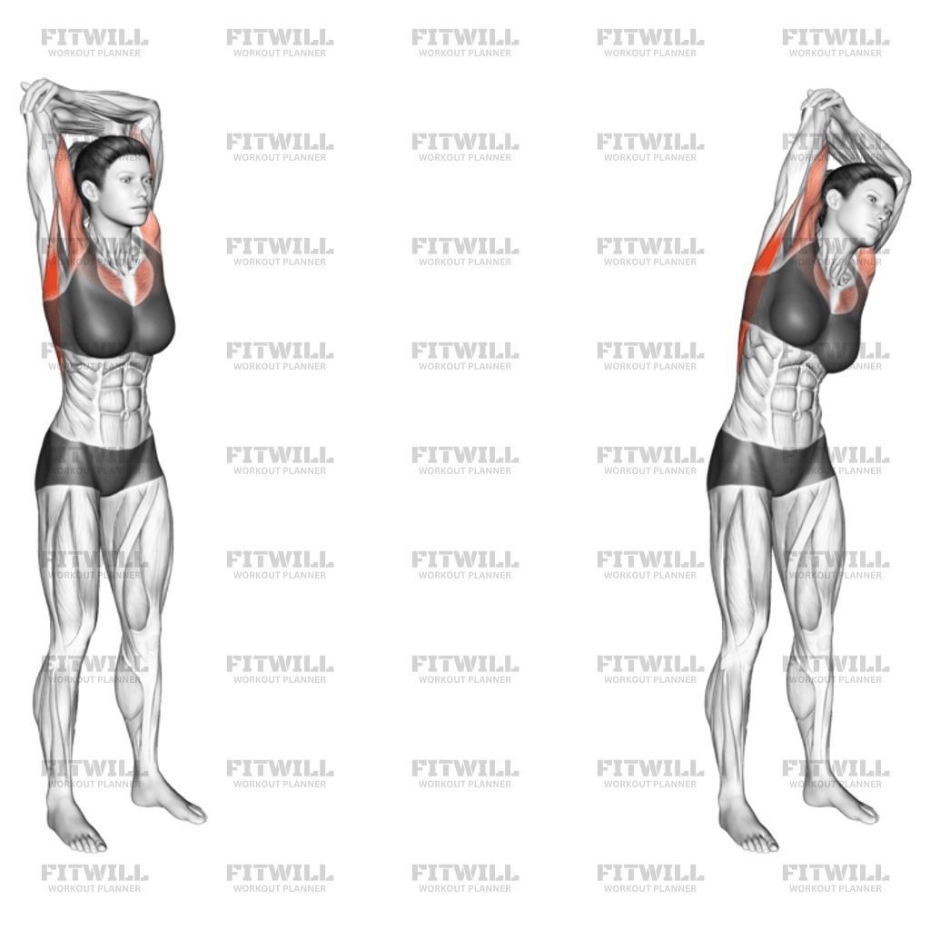 Standing Reach Up Back Rotation Stretch: Exercise Guide, Video ...