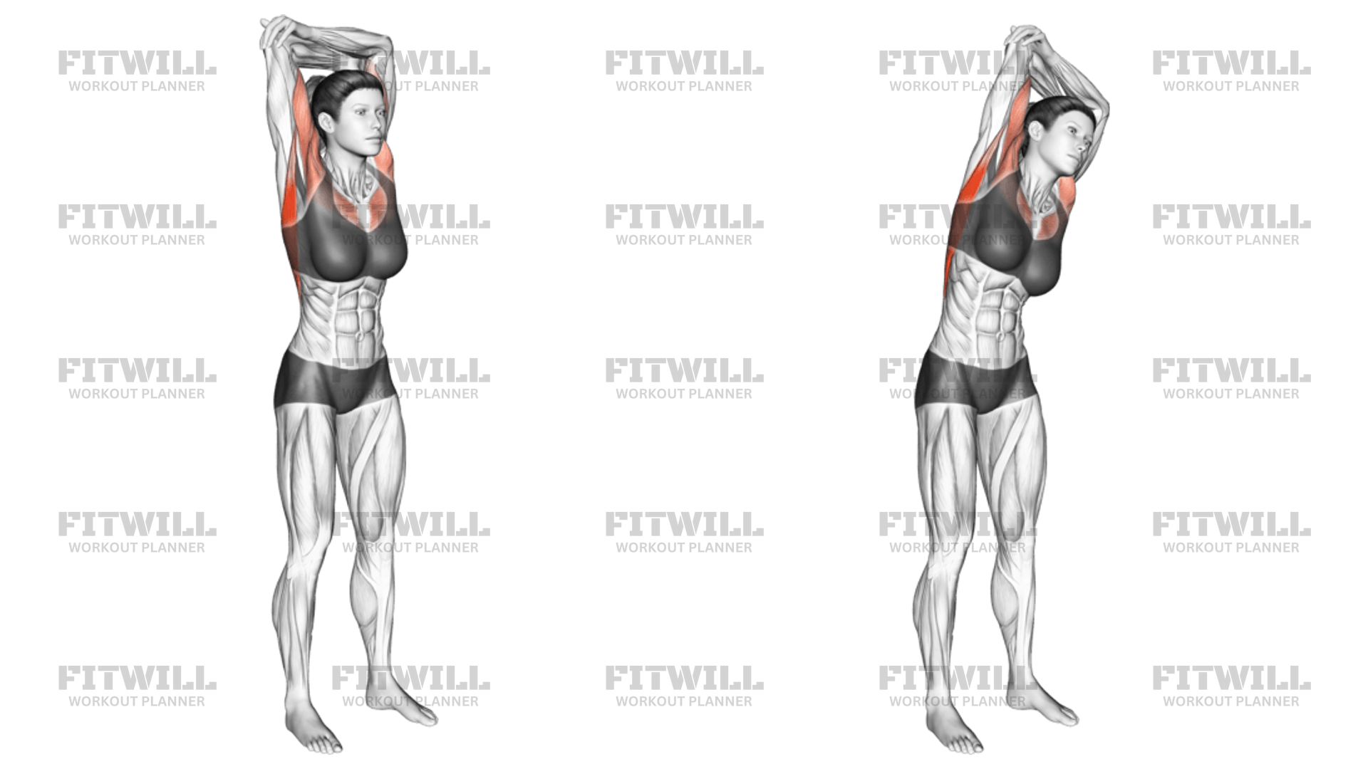 Standing reach up back rotation stretch: Guide, Techniques, Benefits ...