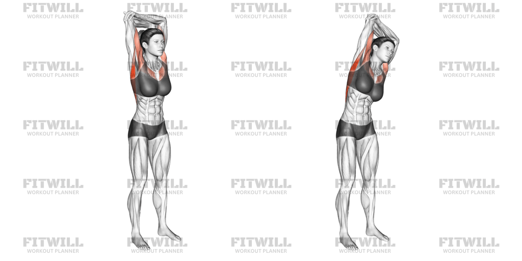 Standing reach up back rotation stretch: Guide, Techniques, Benefits ...