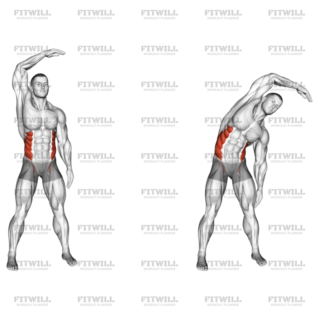 Standing Side Bend (bent Arm): Exercise Guide, Video, Techniques, Benefits, How to, Muscles ...